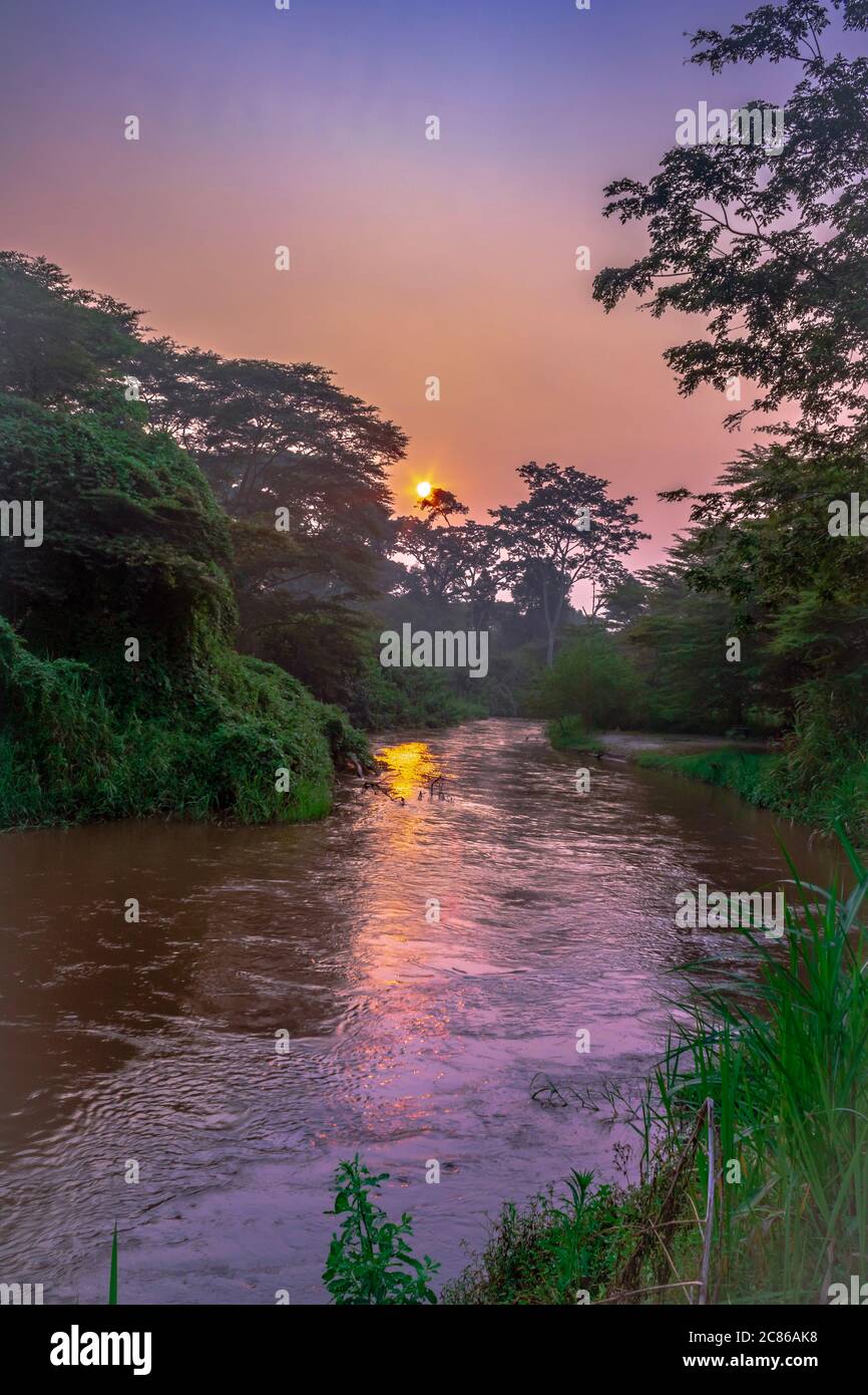 Ishasha river hi-res stock photography and images - Alamy