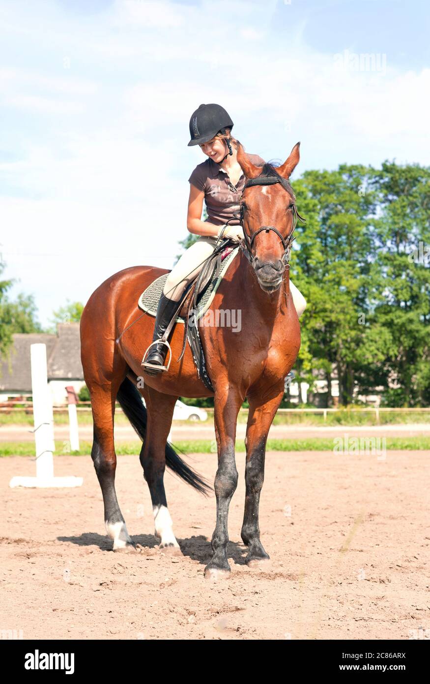 Teenage girl equestrian riding thoroughbred horseback. Vibrant ...