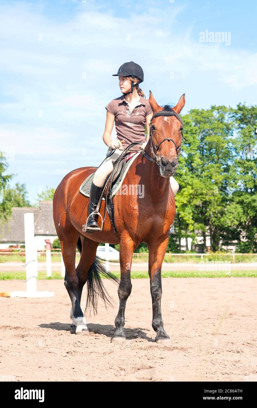 Teenage girl equestrian riding thoroughbred horseback. Vibrant ...