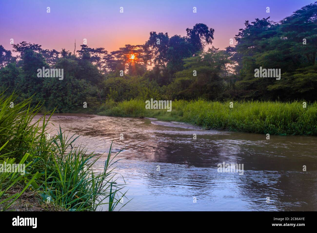 Sunrise view of Ishasha river, with trees growing and the reflections ...