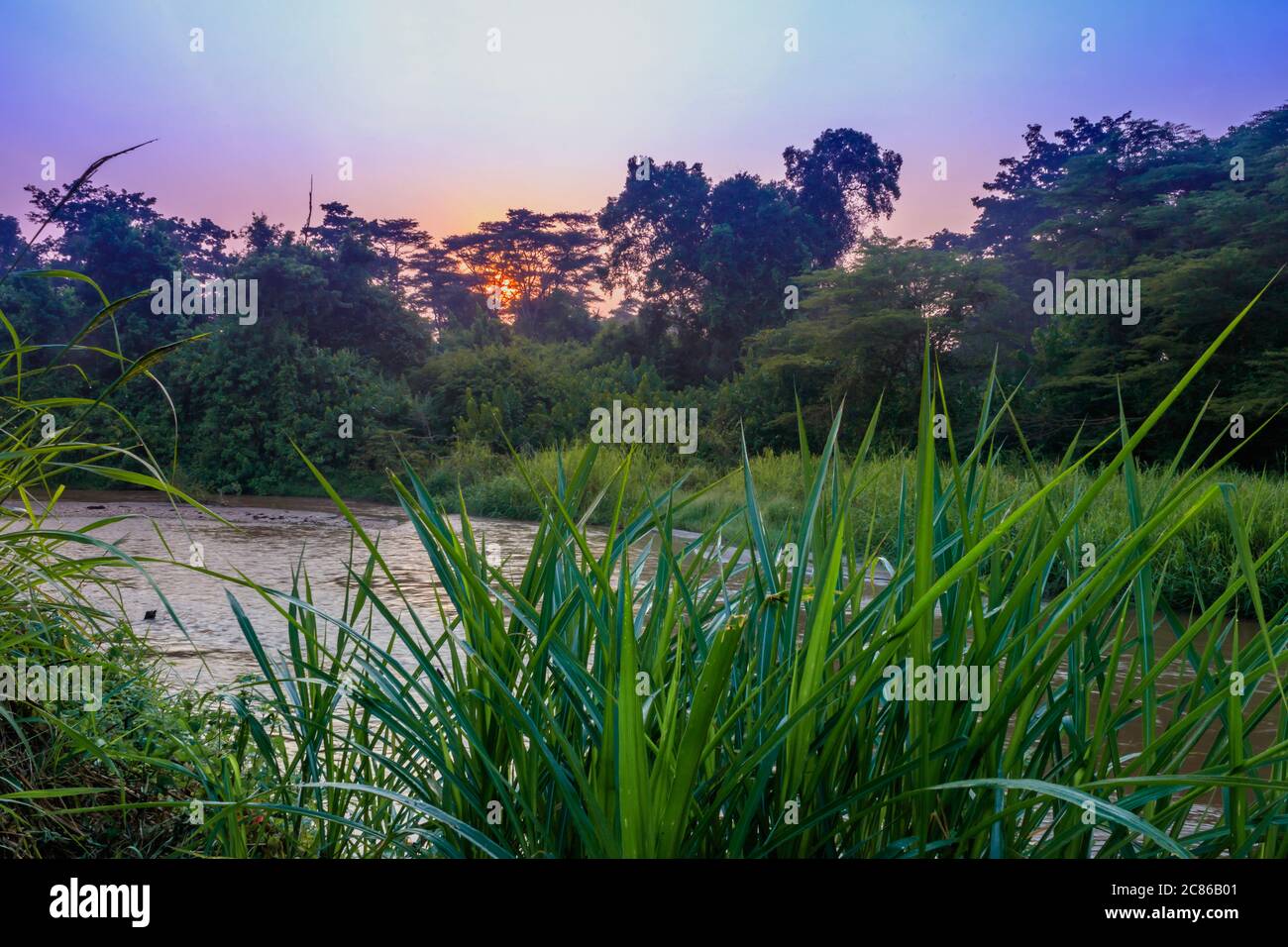 Sunrise view of Ishasha river, with trees growing and the reflections ...