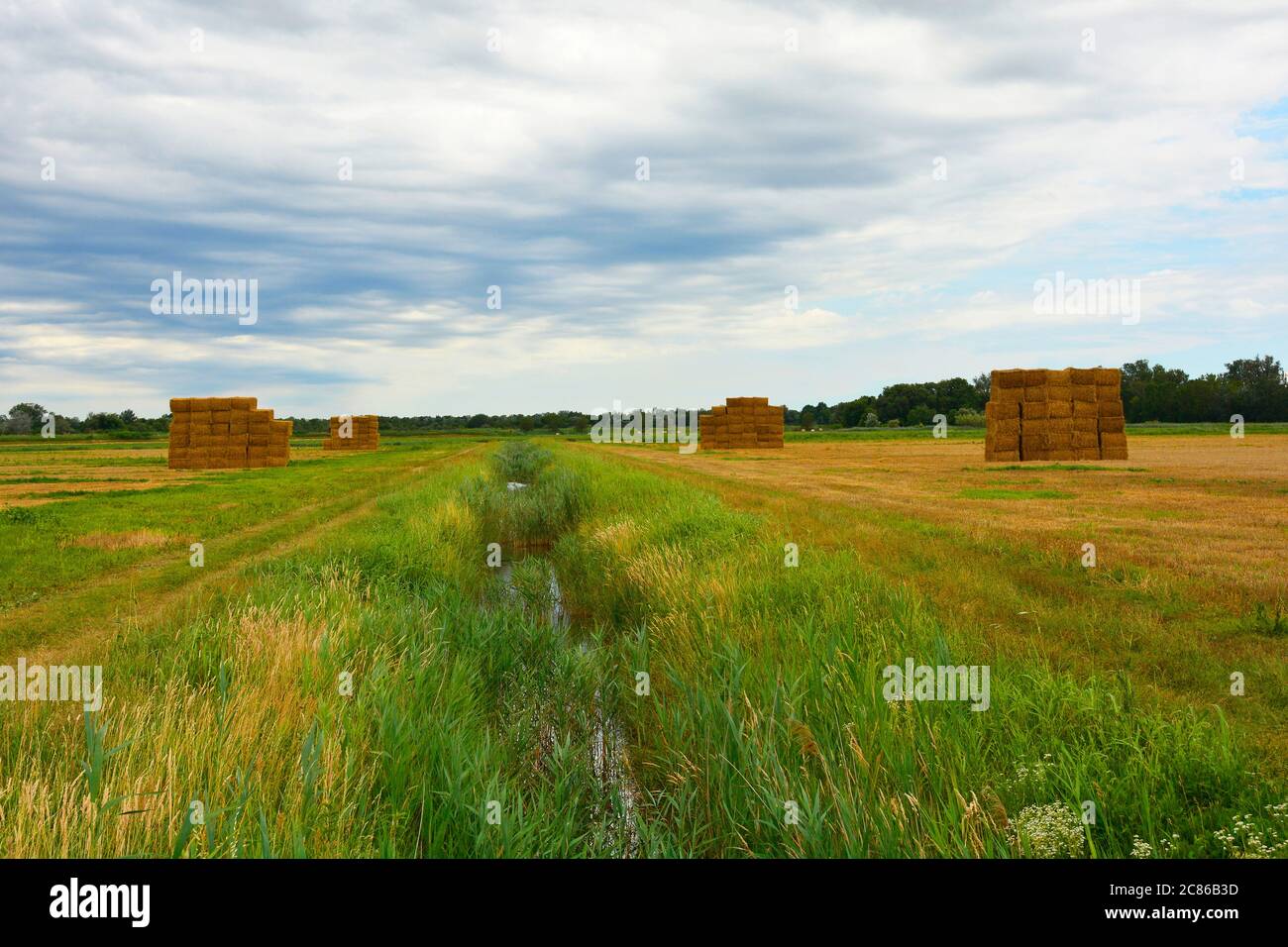 Square haystacks in a square arrangement on the north east Italian ...