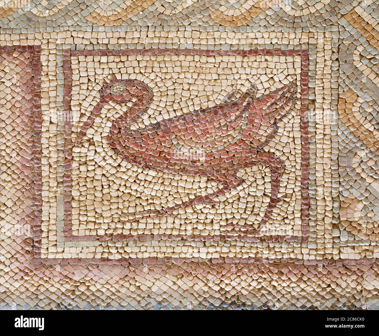 Ibis in ancient roman mosaic of Mount Nebo, Jordan Stock Photo - Alamy