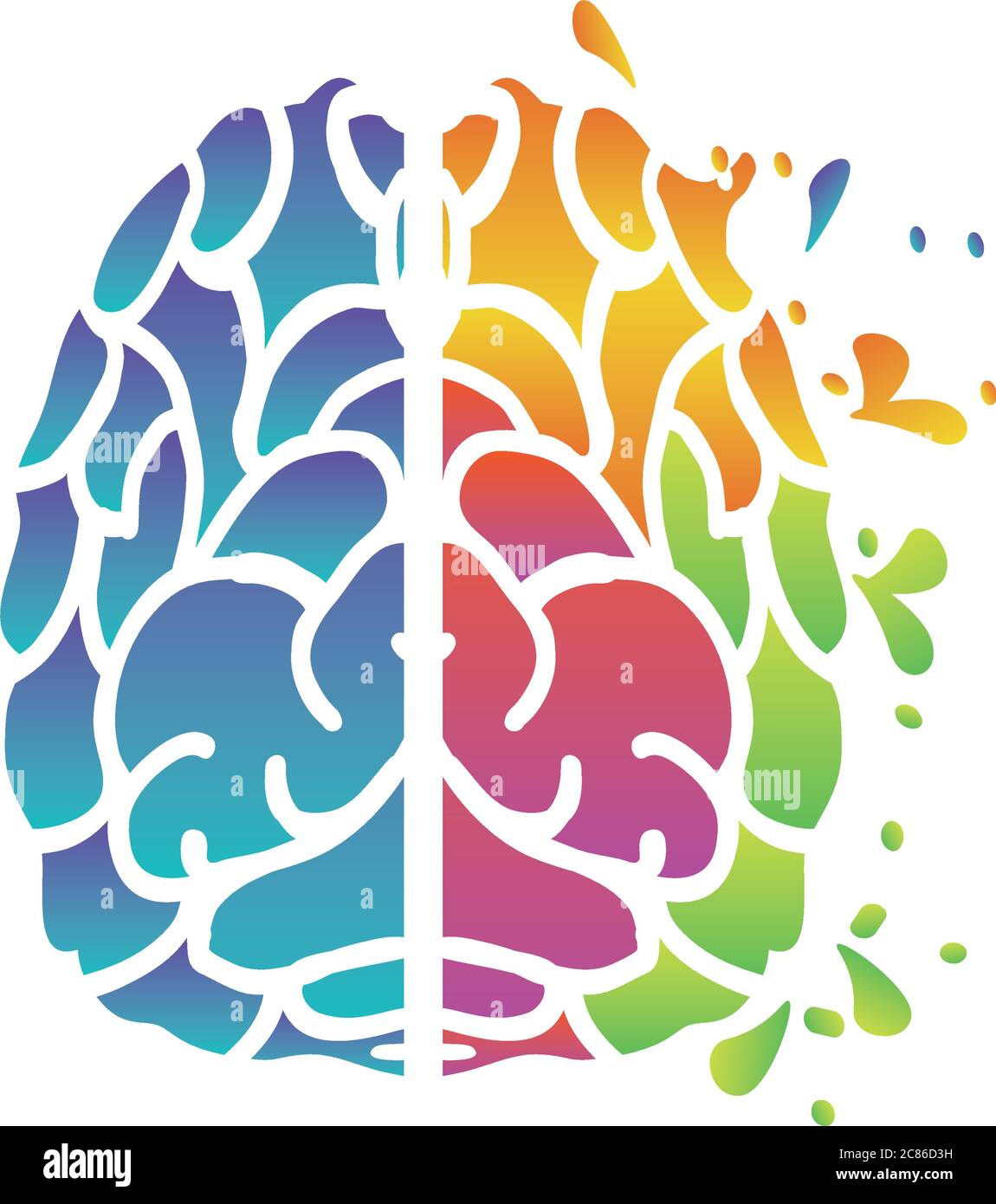 two hemispheres of the brain on a white background vector illustration ...