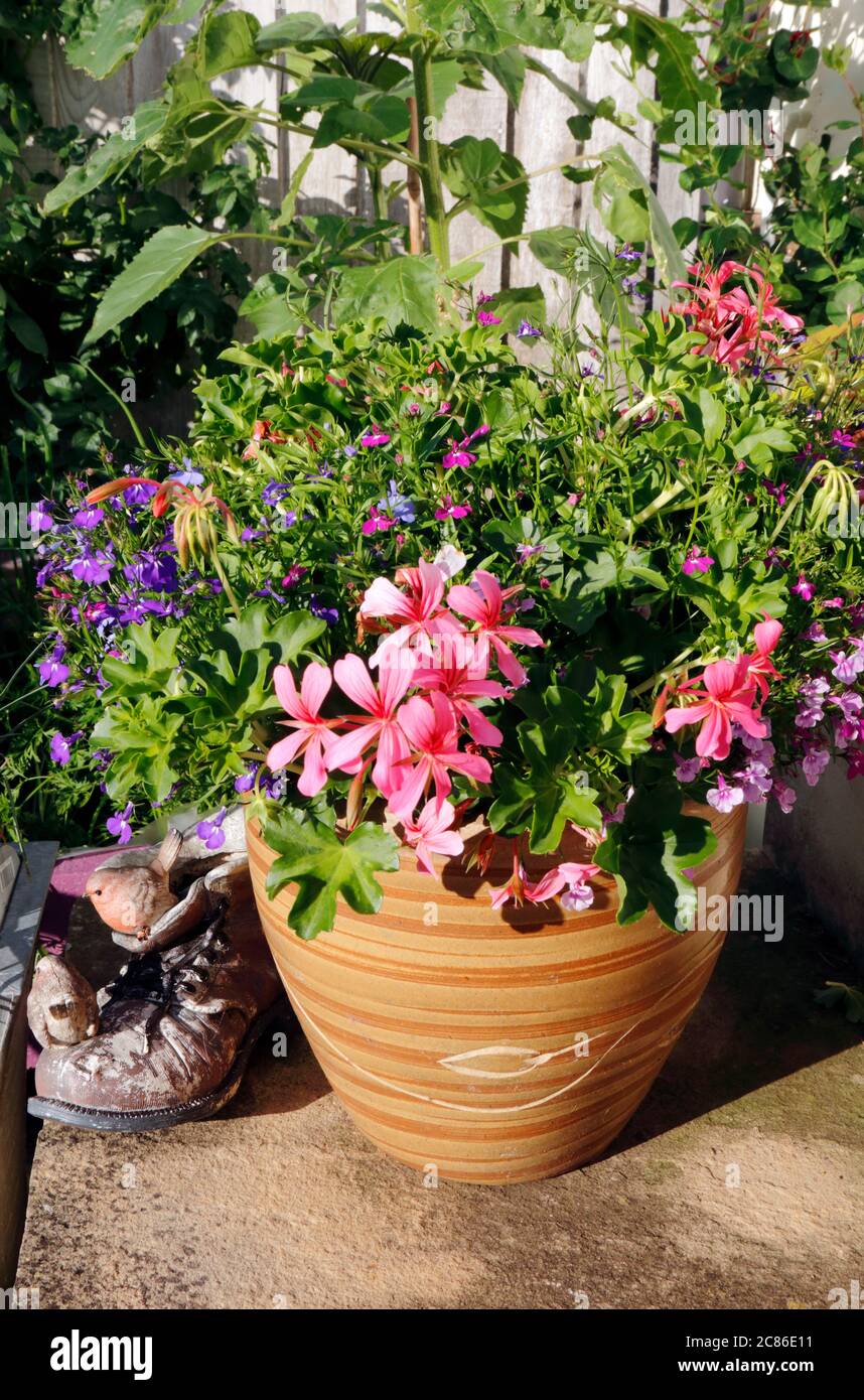A rustic english garden in summertime Stock Photo - Alamy