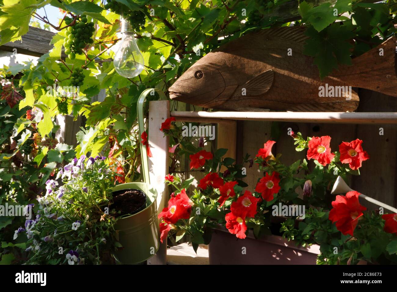 A rustic english garden in summertime Stock Photo - Alamy