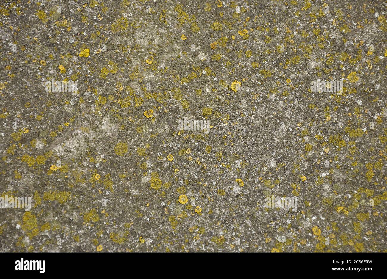 Old concrete texture Stock Photo - Alamy