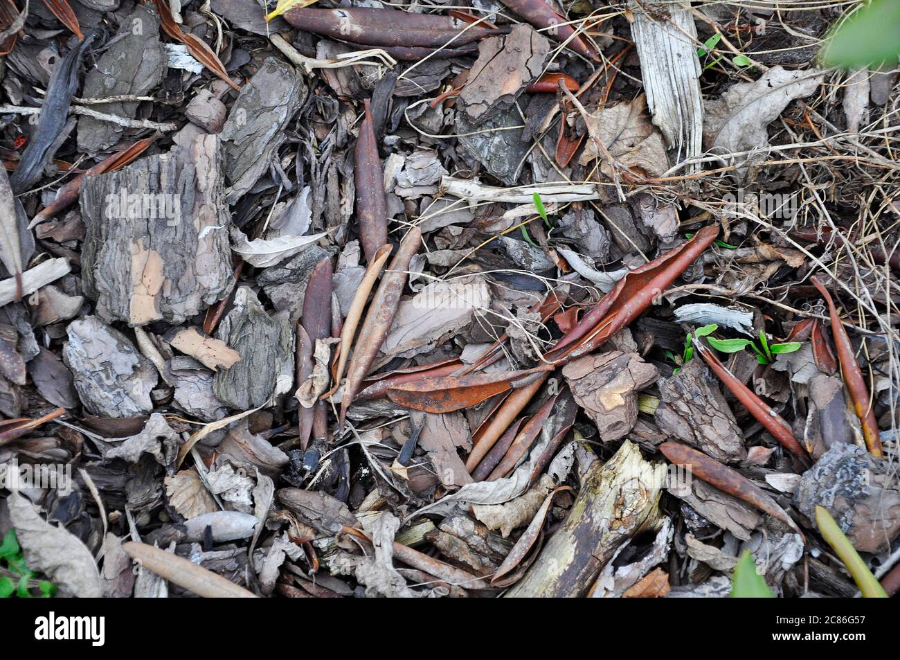 Soil for plants texture Stock Photo - Alamy