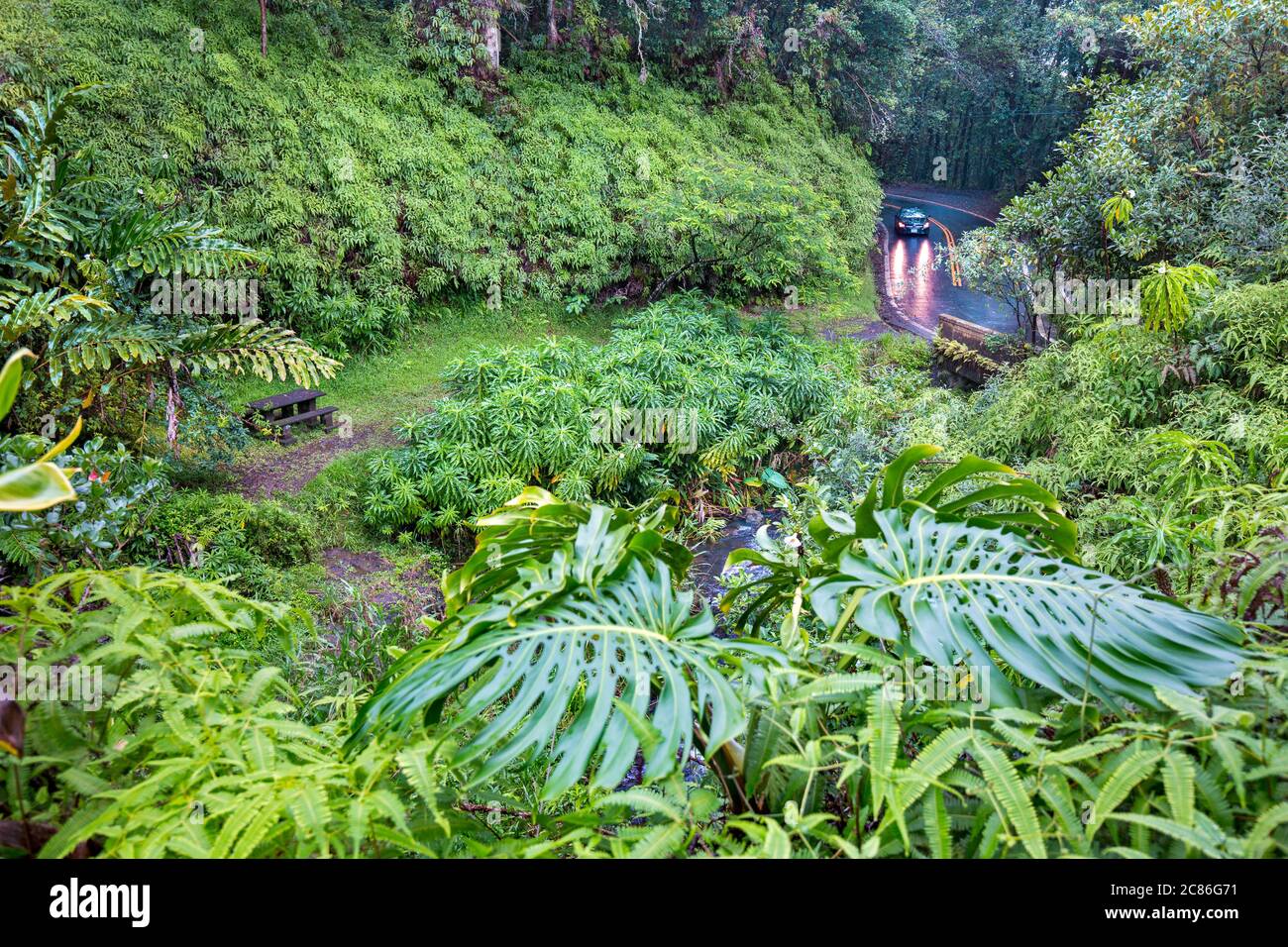 A car on an early moring drive to Hana passing a roadside picnic table ...