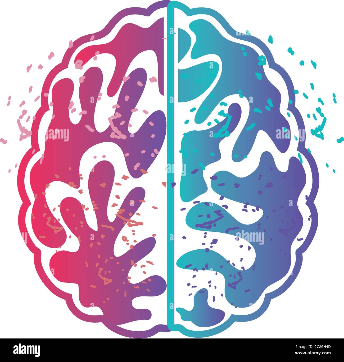 two hemispheres of the brain on a white background vector illustration ...