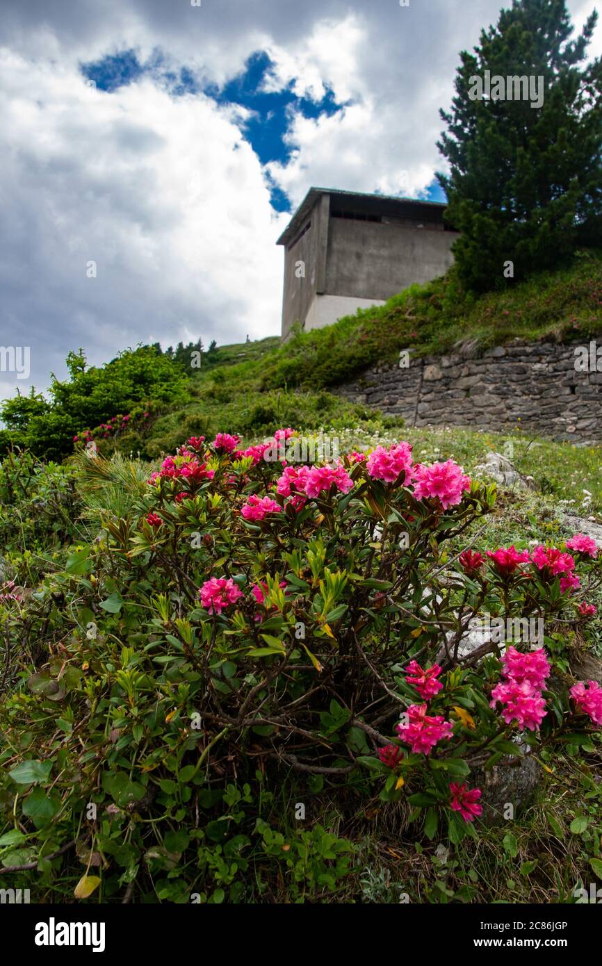 Panorama - Valle Spluga Stock Photo - Alamy