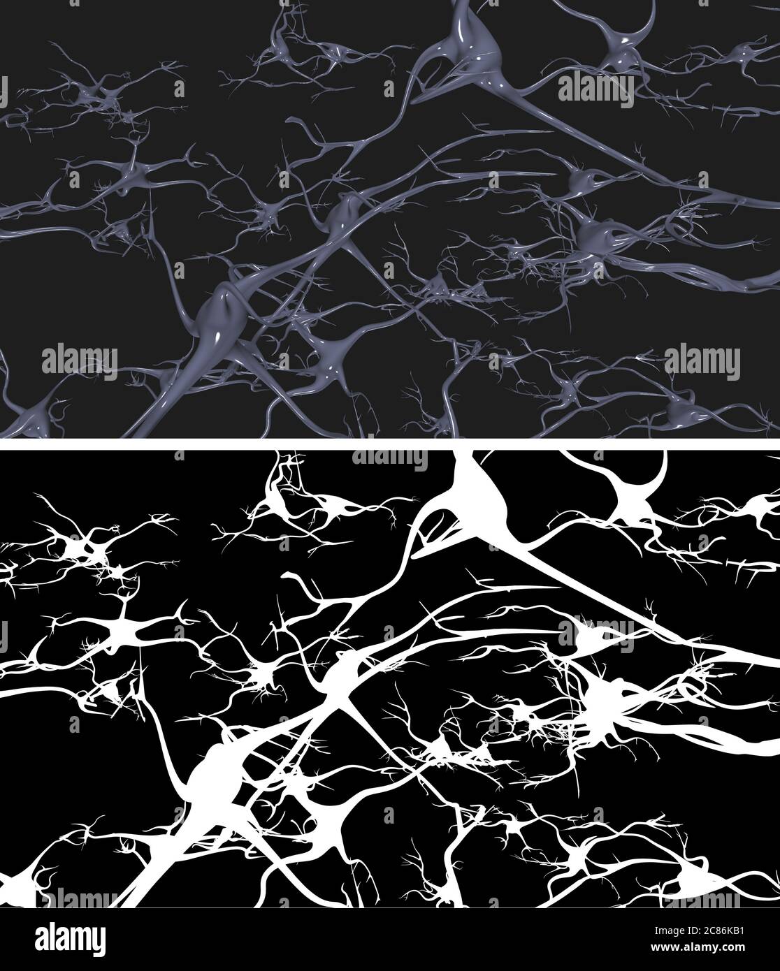 Nerve cells with alpha mask Stock Photo - Alamy