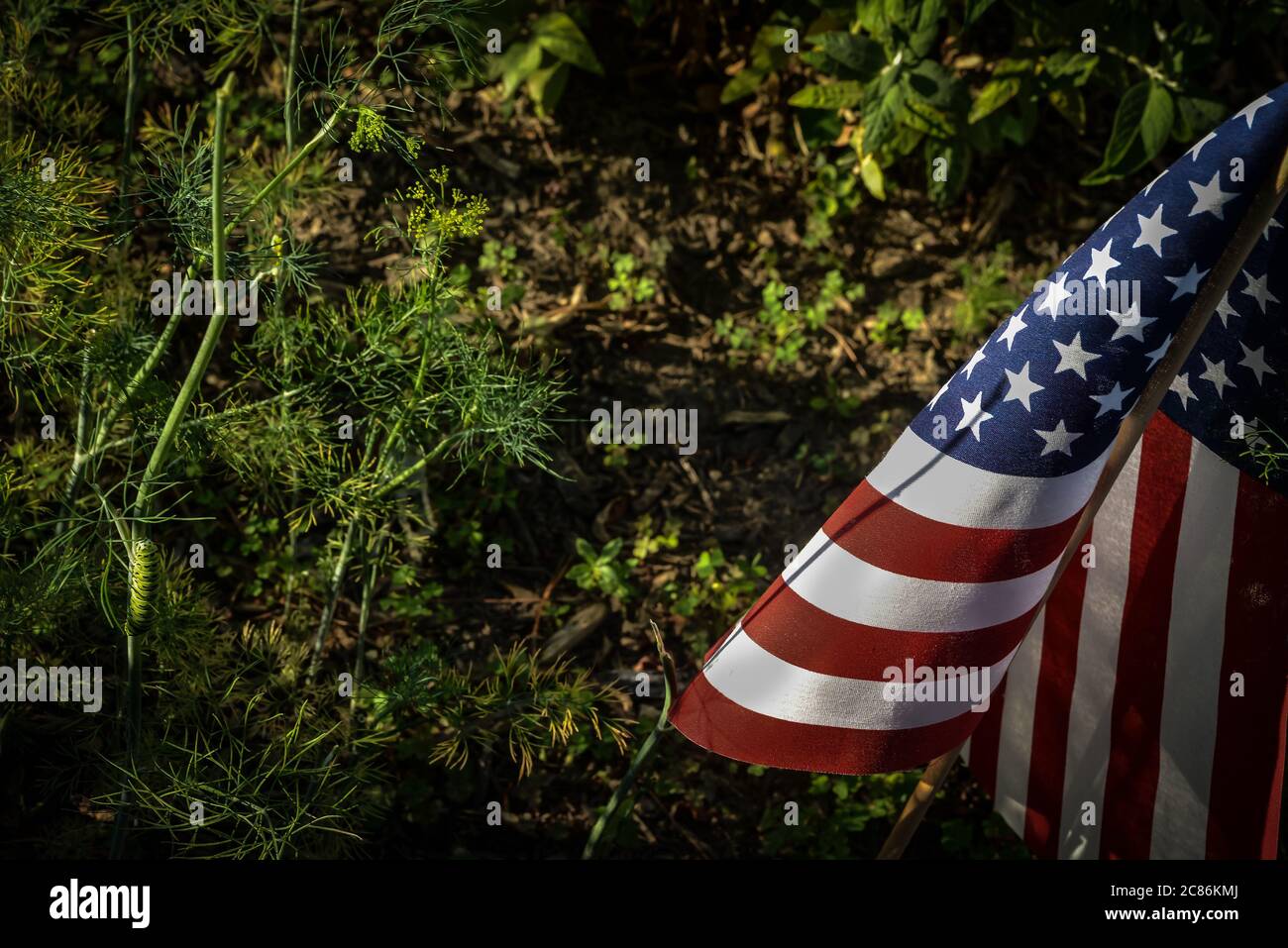 Swallowtail flag hi-res stock photography and images - Alamy