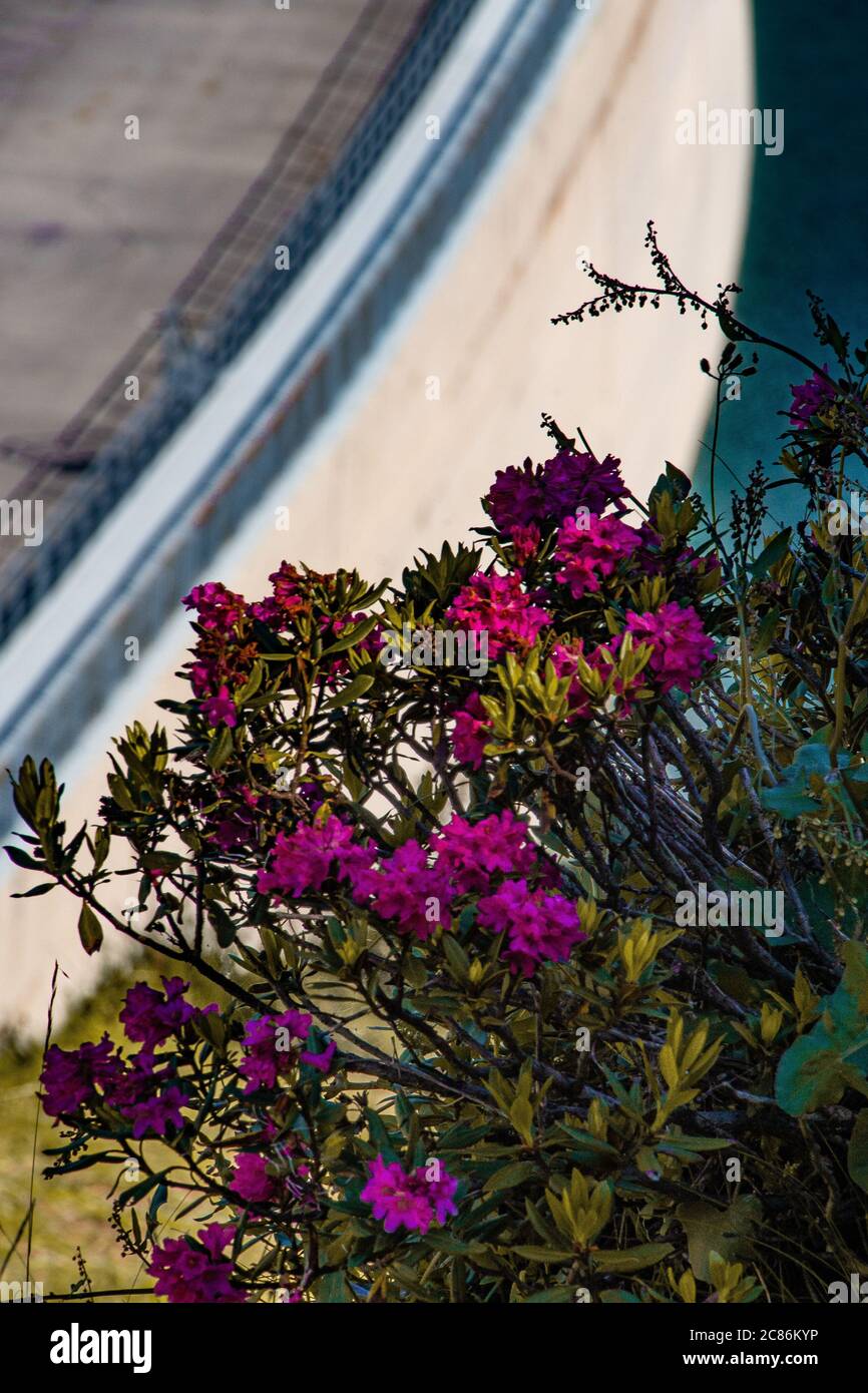 Val di lei dam hi-res stock photography and images - Alamy