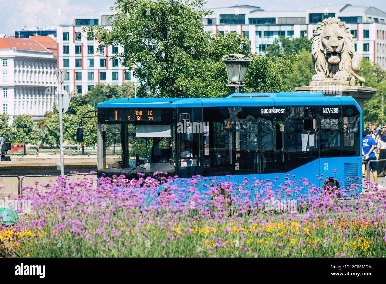 Budapest Hungary july 20, 2020 View of a traditional Hungarian city bus ...
