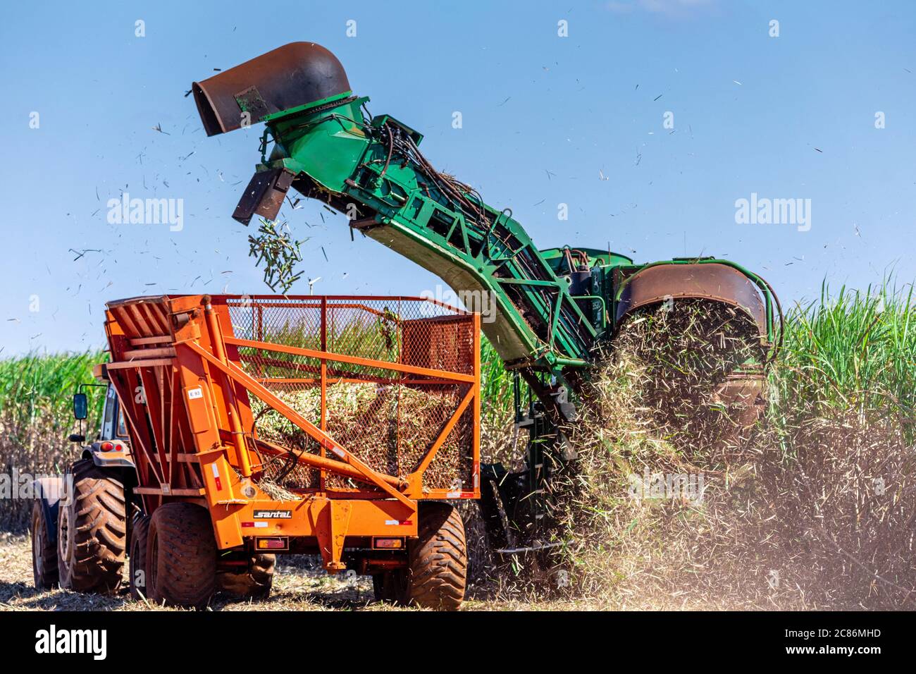 Machine harvesting sugar cane plantation Stock Photo - Alamy