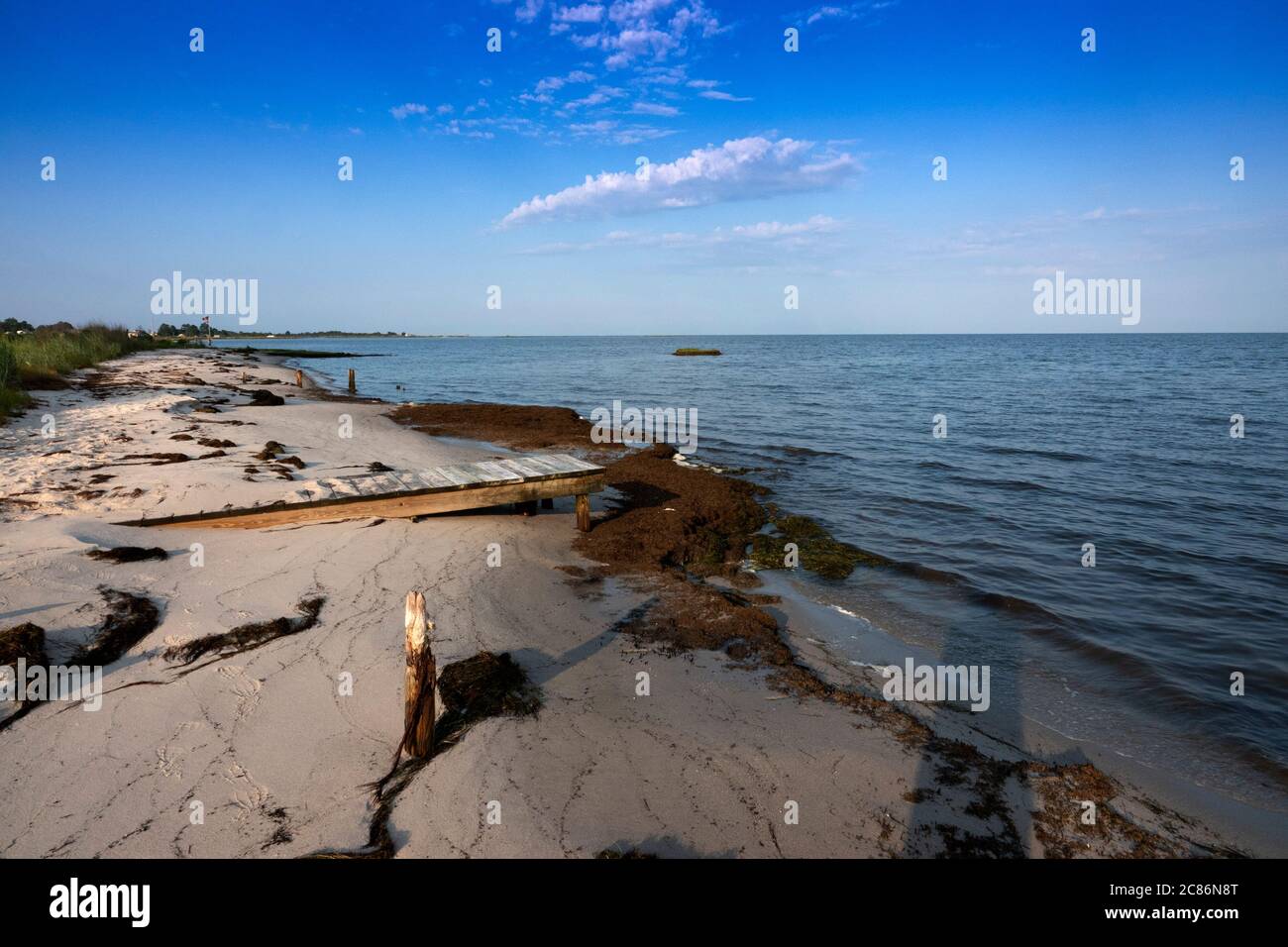 Wilderness beach scene at high tide Stock Photo - Alamy