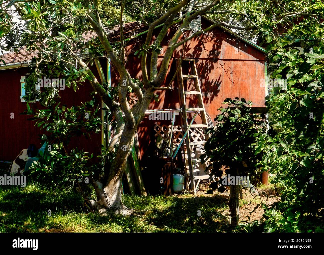 Garden ladders hi-res stock photography and images - Alamy