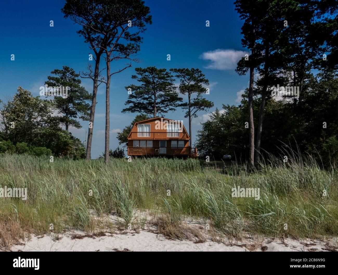 Bech grass hi-res stock photography and images - Alamy