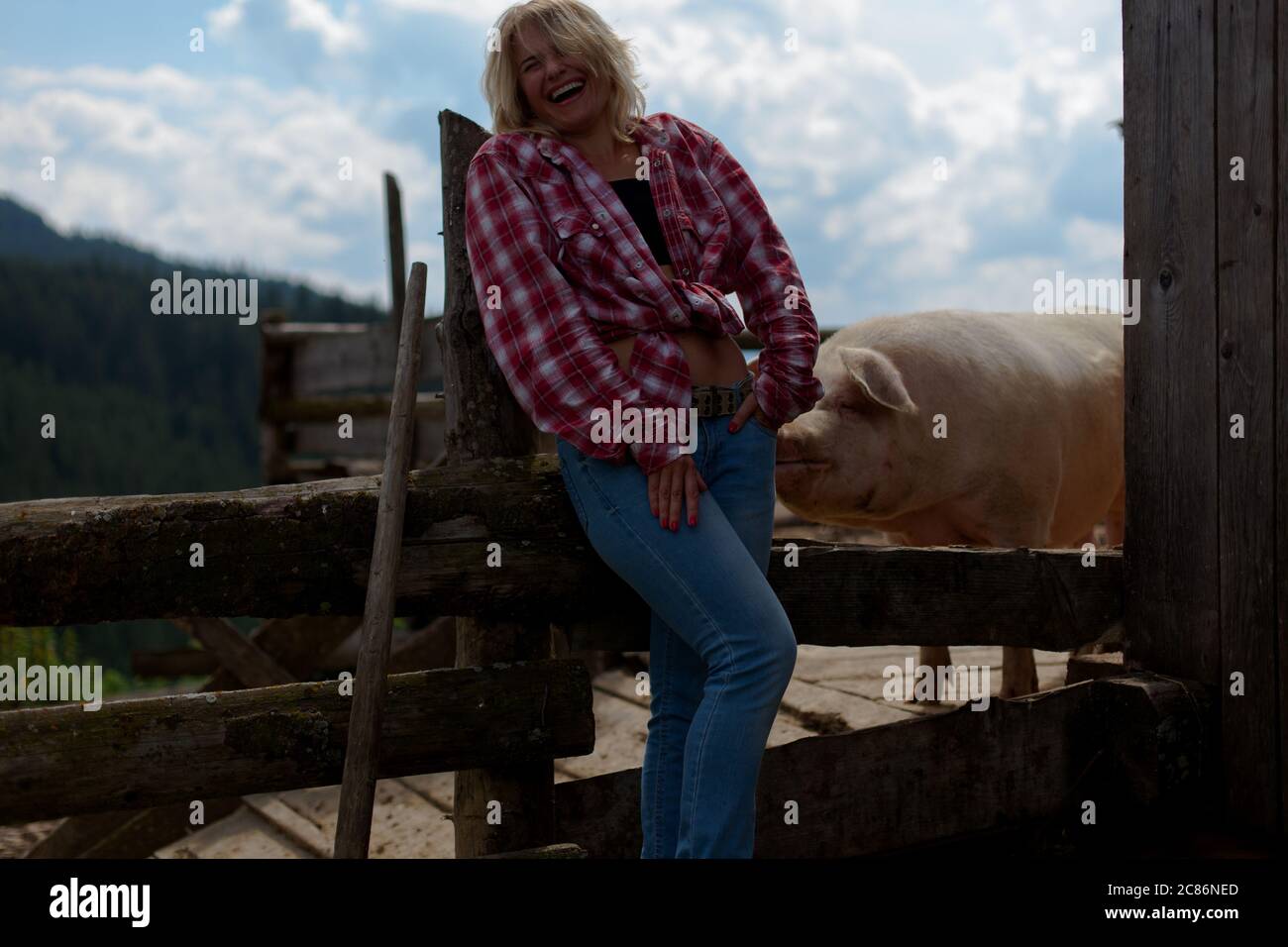 girl having fun with a pig Stock Photo - Alamy