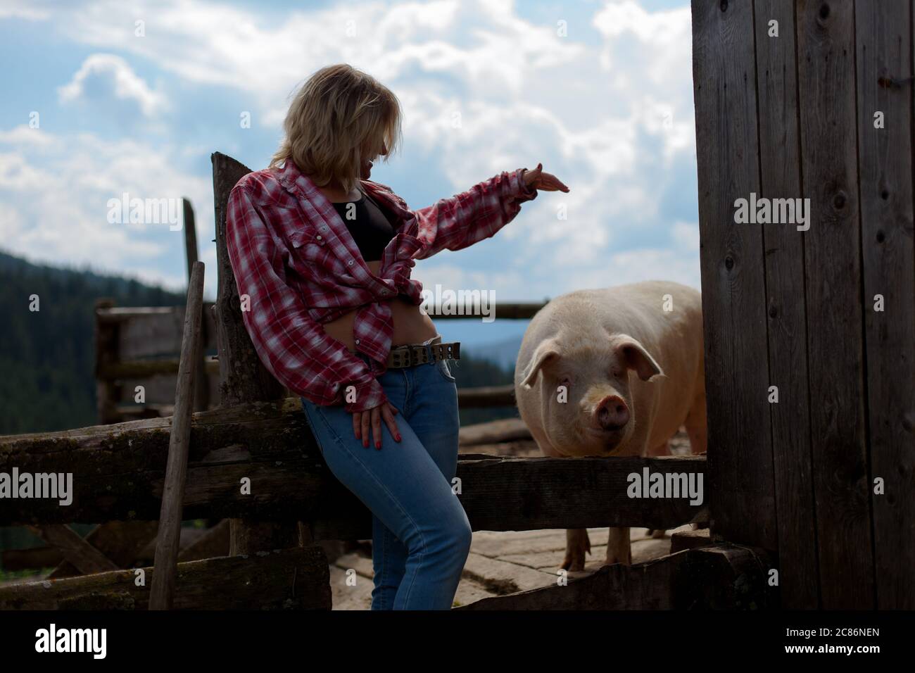 girl on the ranch with a pig Stock Photo - Alamy