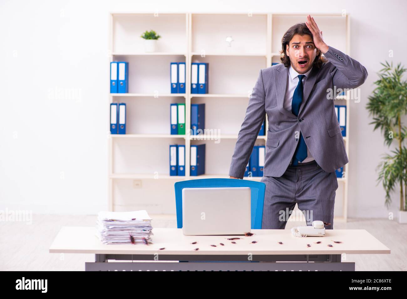 Young employee and too many cockroaches in the office Stock Photo - Alamy