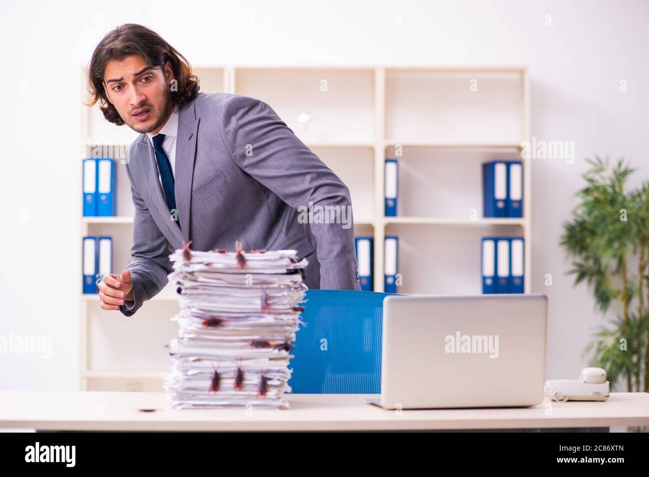 Young employee and too many cockroaches in the office Stock Photo - Alamy