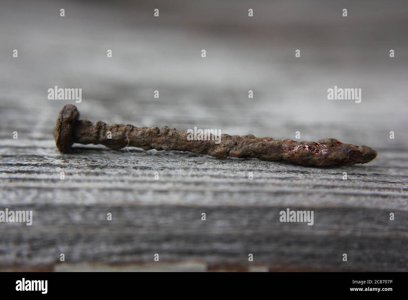 One single severely weathered rusted iron construction nail Stock Photo ...