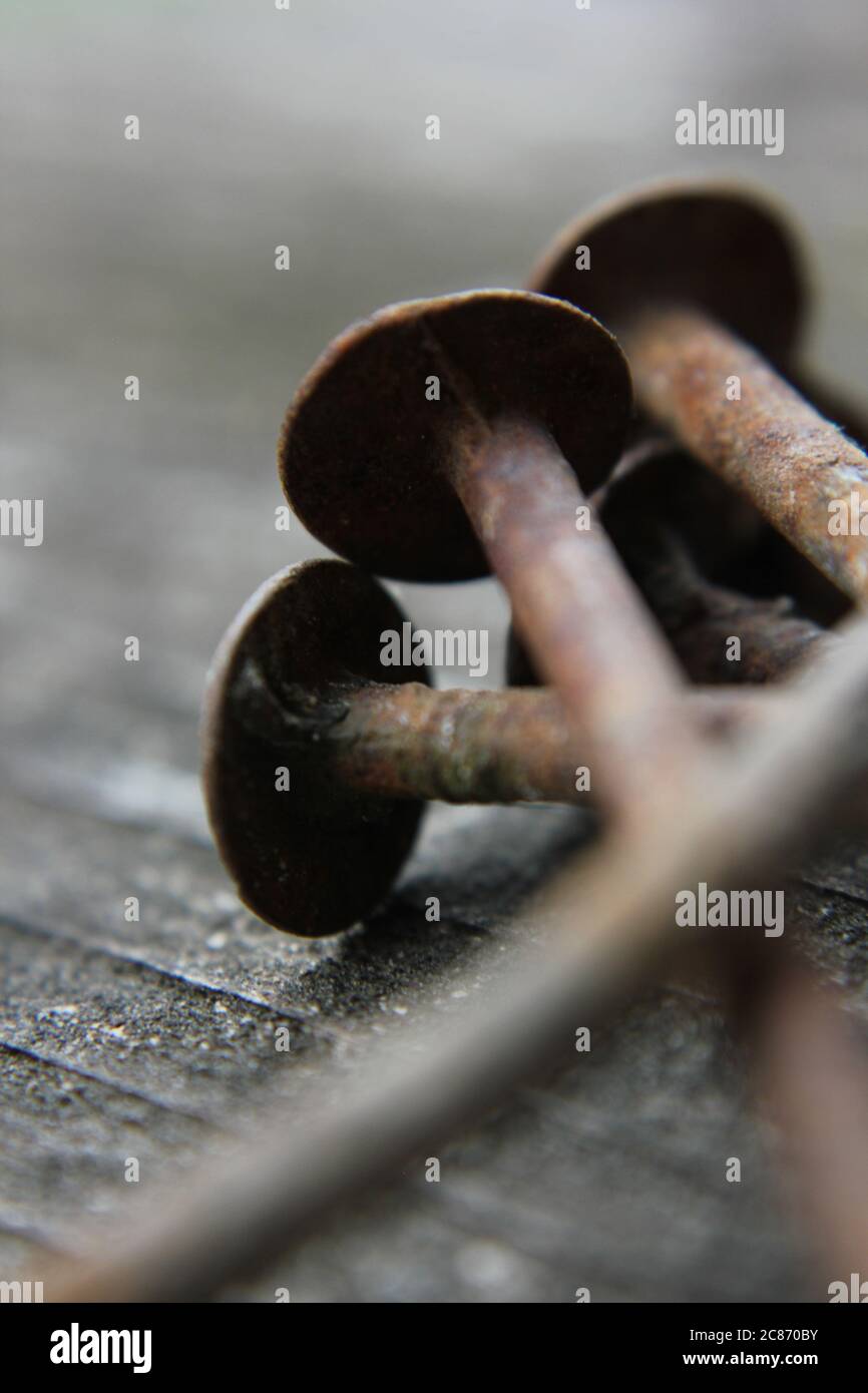 A pile of worn, rusted and out of date iron construction nails Stock ...