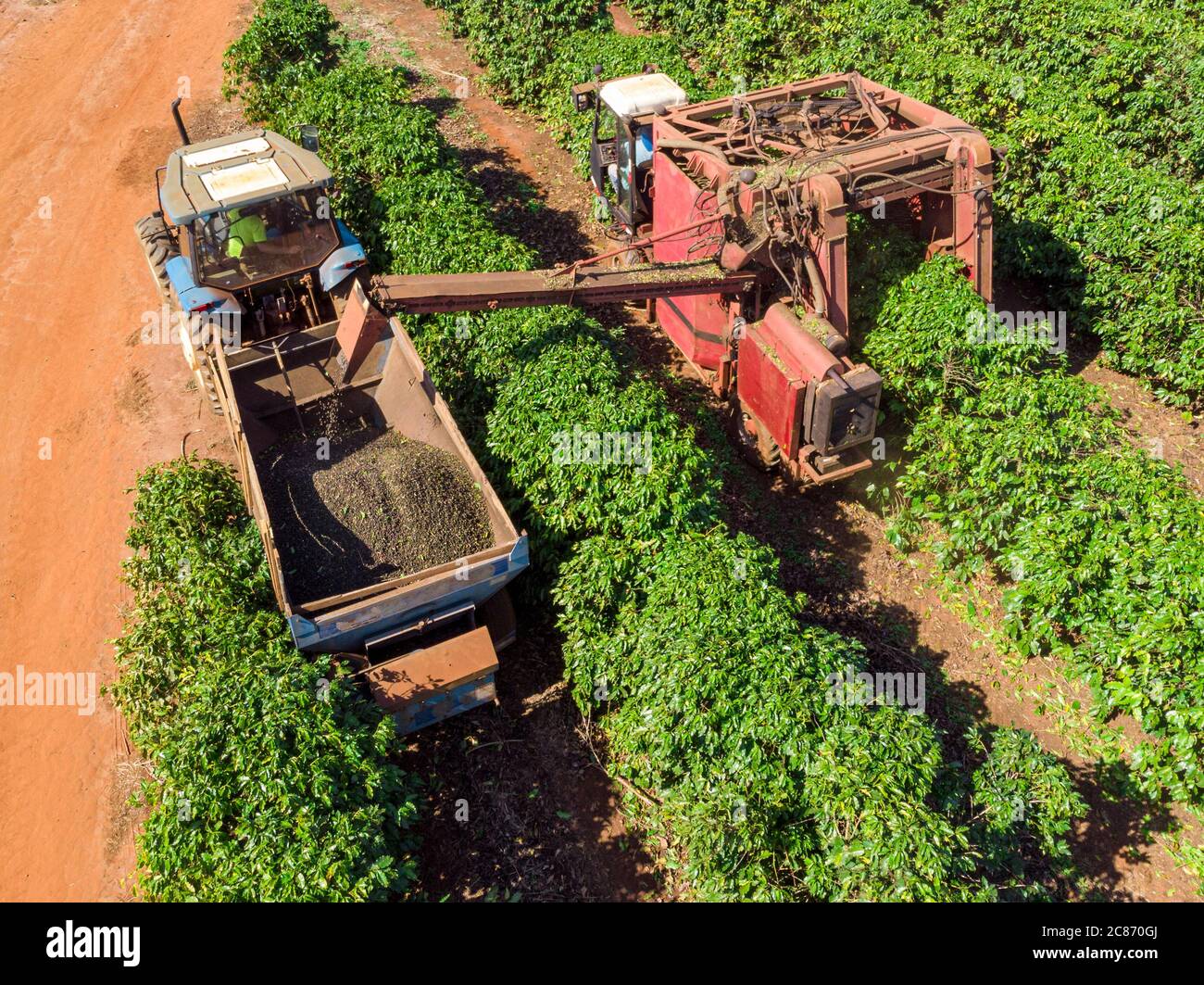 Machine in the field harvesting coffee in the plantation of Brazil ...