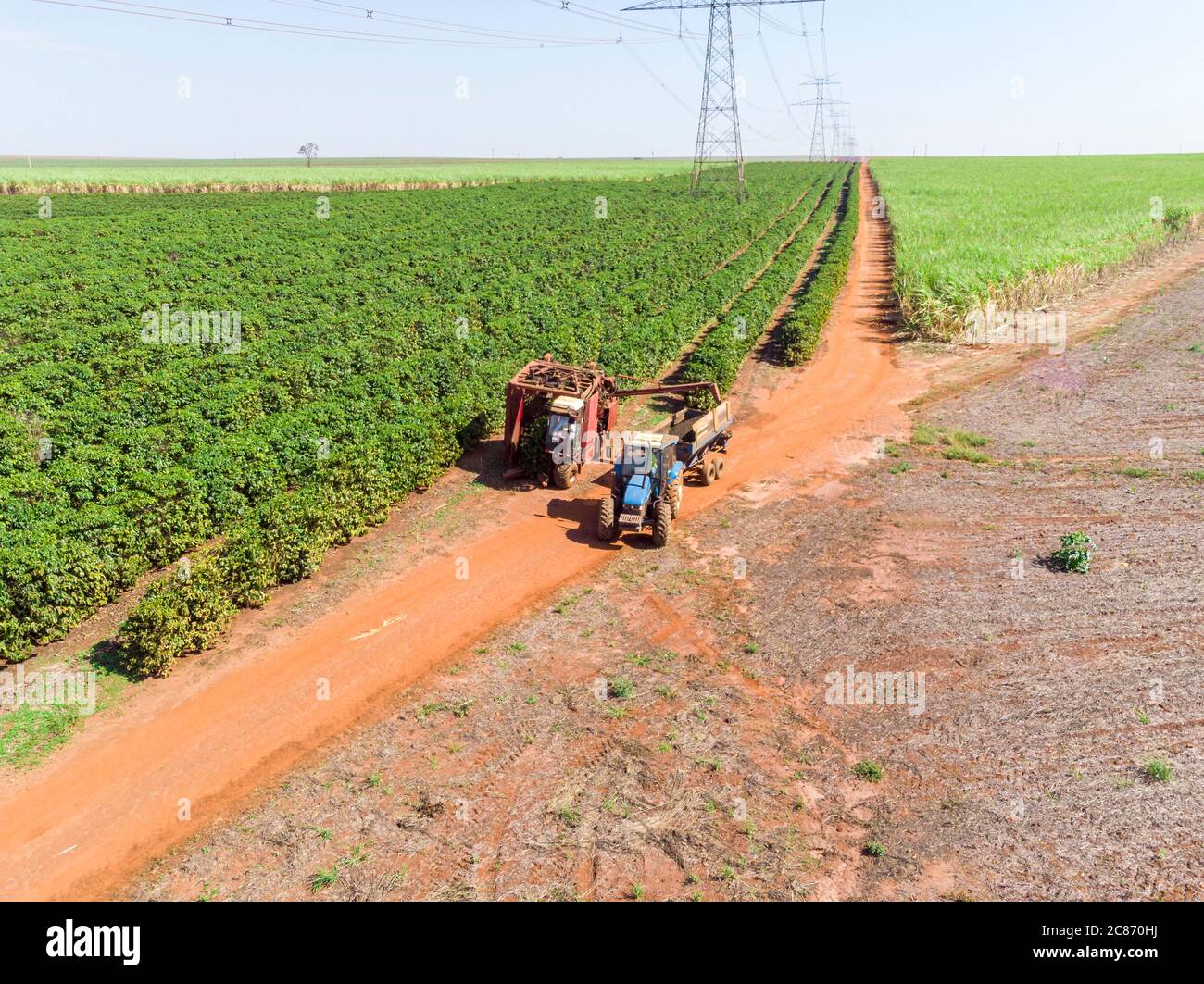 Coffee harvesting machine hi-res stock photography and images - Alamy