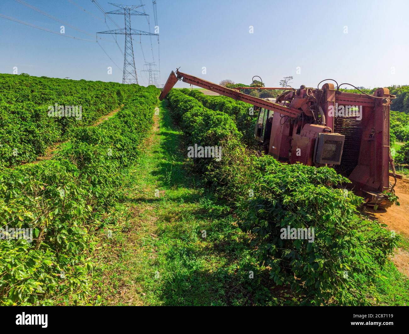 Machine in the field harvesting coffee in the plantation of Brazil ...