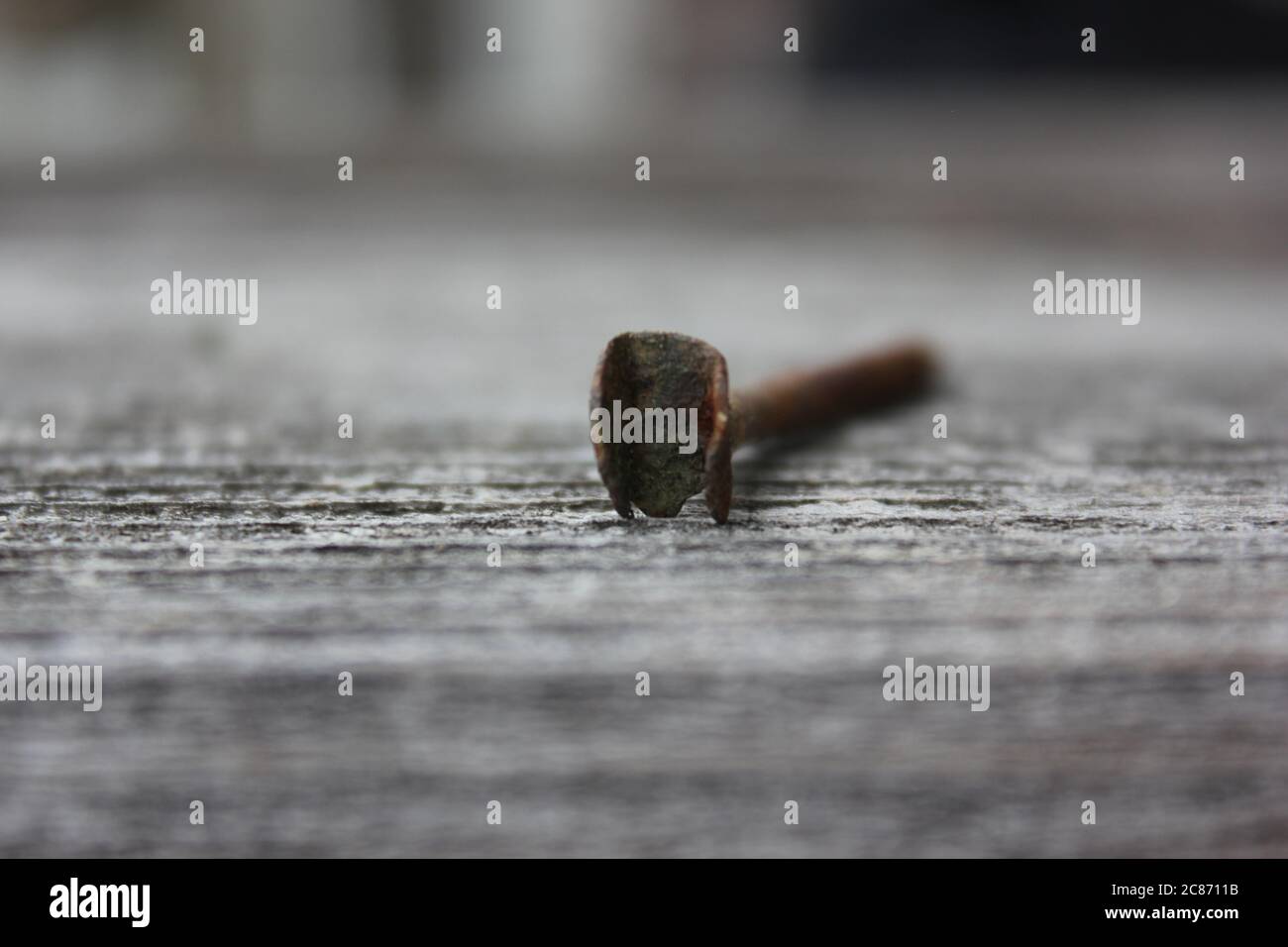 One single severely weathered rusted iron construction nail Stock Photo ...