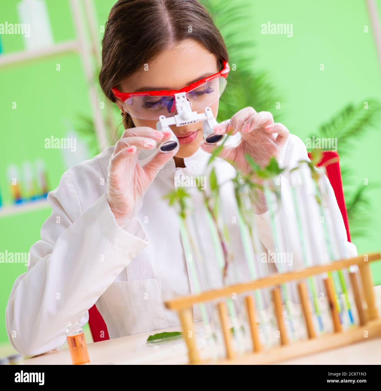 The beautiful female biotechnology scientist chemist working in lab ...