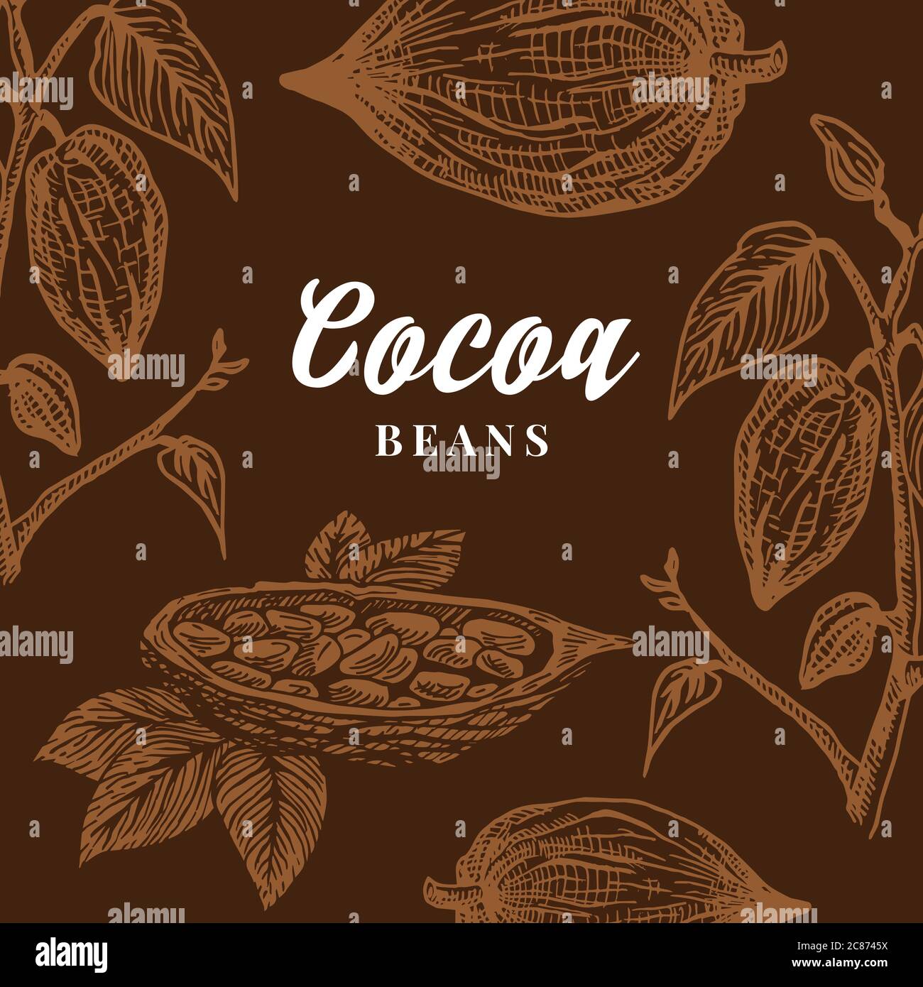 Hand Drawn Cocoa Beans Card. Abstract Vector Cacao Sketch Background ...