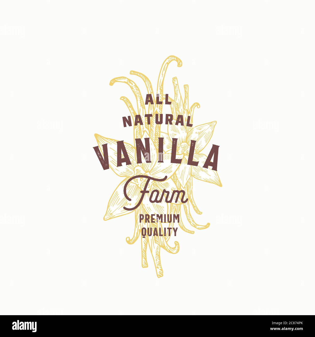 Vanilla Spice Farm Abstract Vector Sign, Symbol or Logo Template. Hand ...