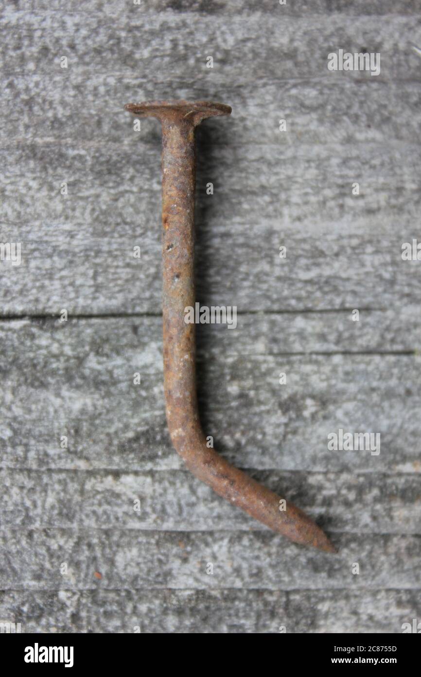 One single bent severely weathered rusted iron construction nail Stock ...