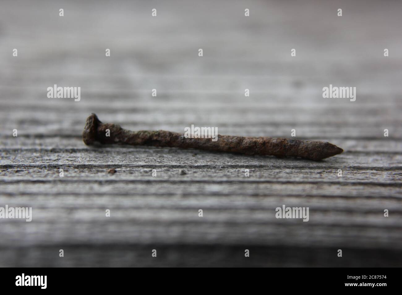 One single severely weathered rusted iron construction nail Stock Photo ...