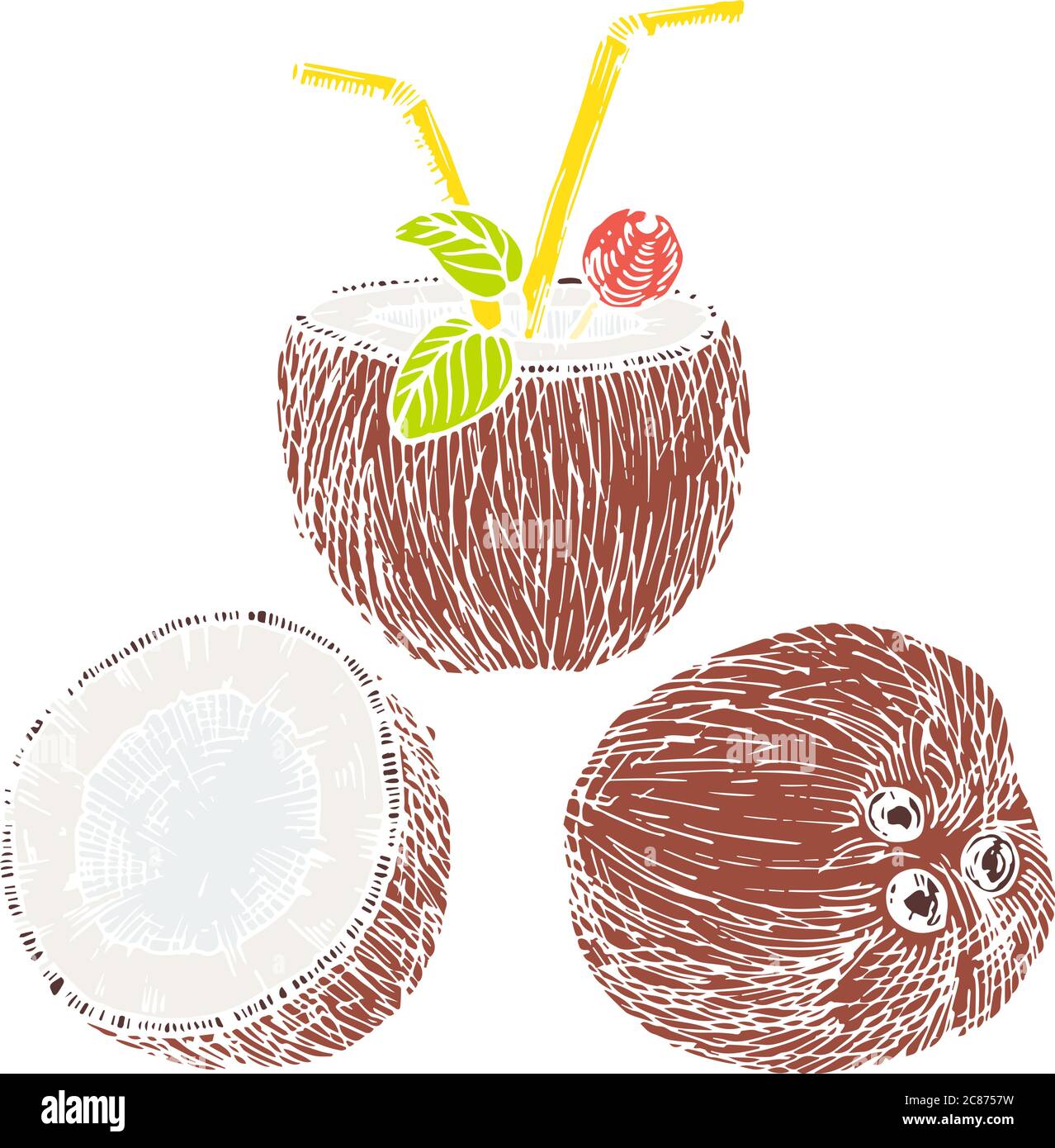 Half of Coconut and Coconut Cocktail Composition. Abstract Sketch. Hand ...