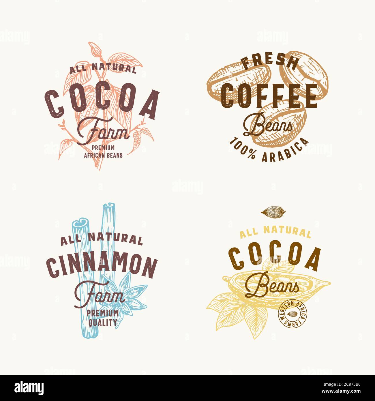 Chocolate spices on coffee Stock Vector Images - Alamy