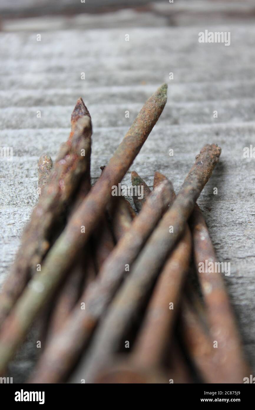 A pile of worn, rusted and out of date iron construction nails Stock ...