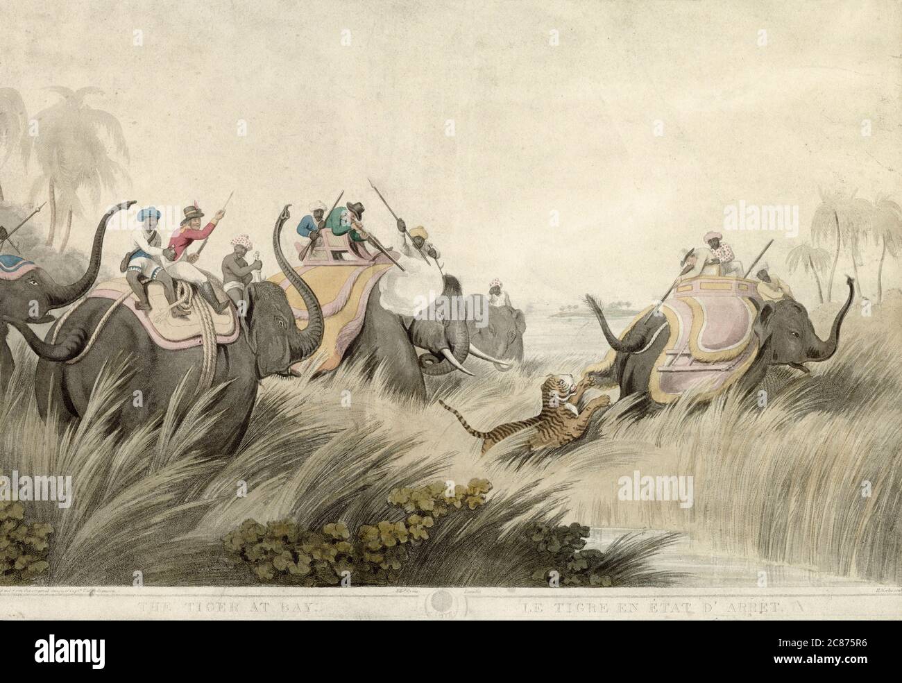 Riding a tiger hi-res stock photography and images - Alamy