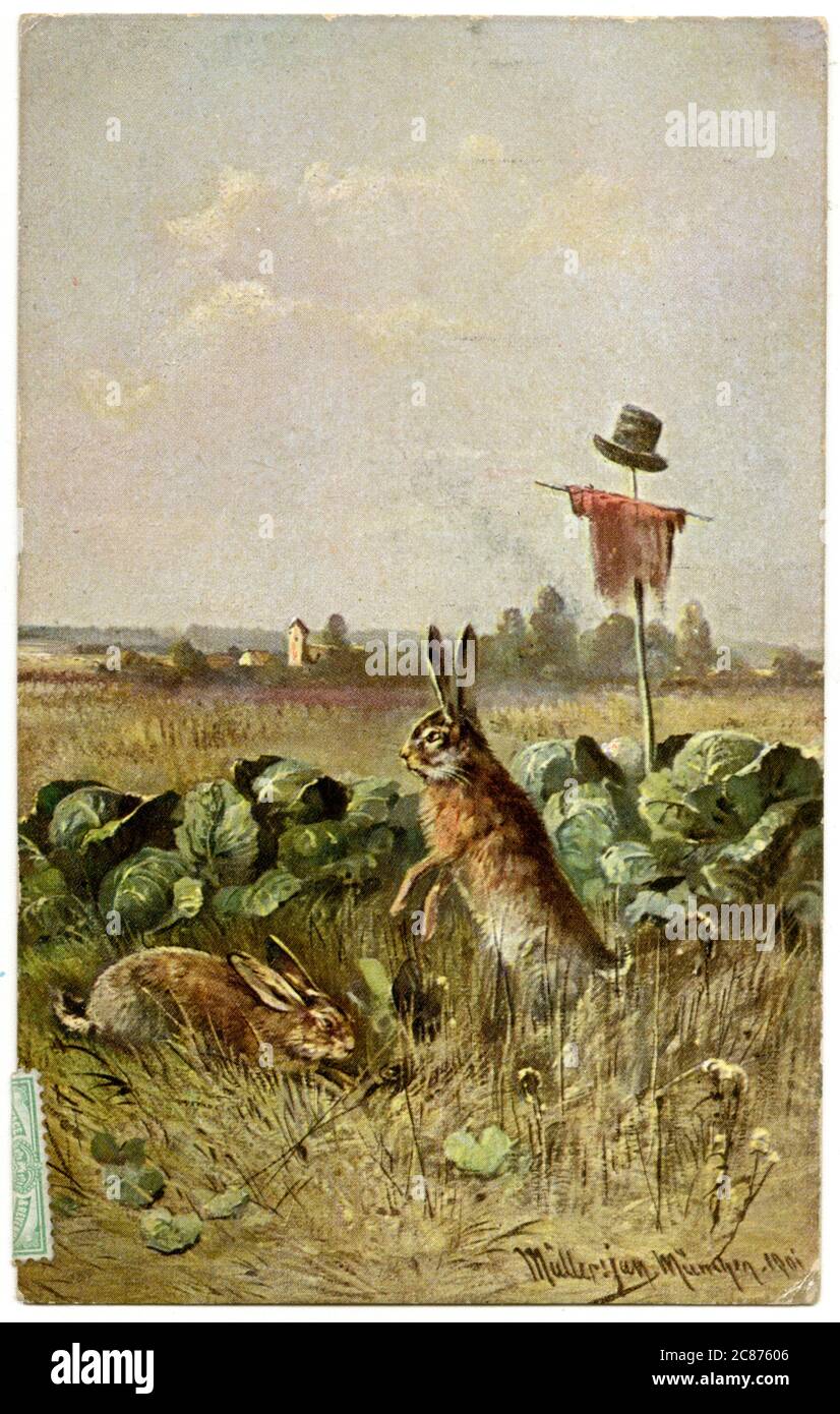 A field field Cut Out Stock Images & Pictures - Alamy