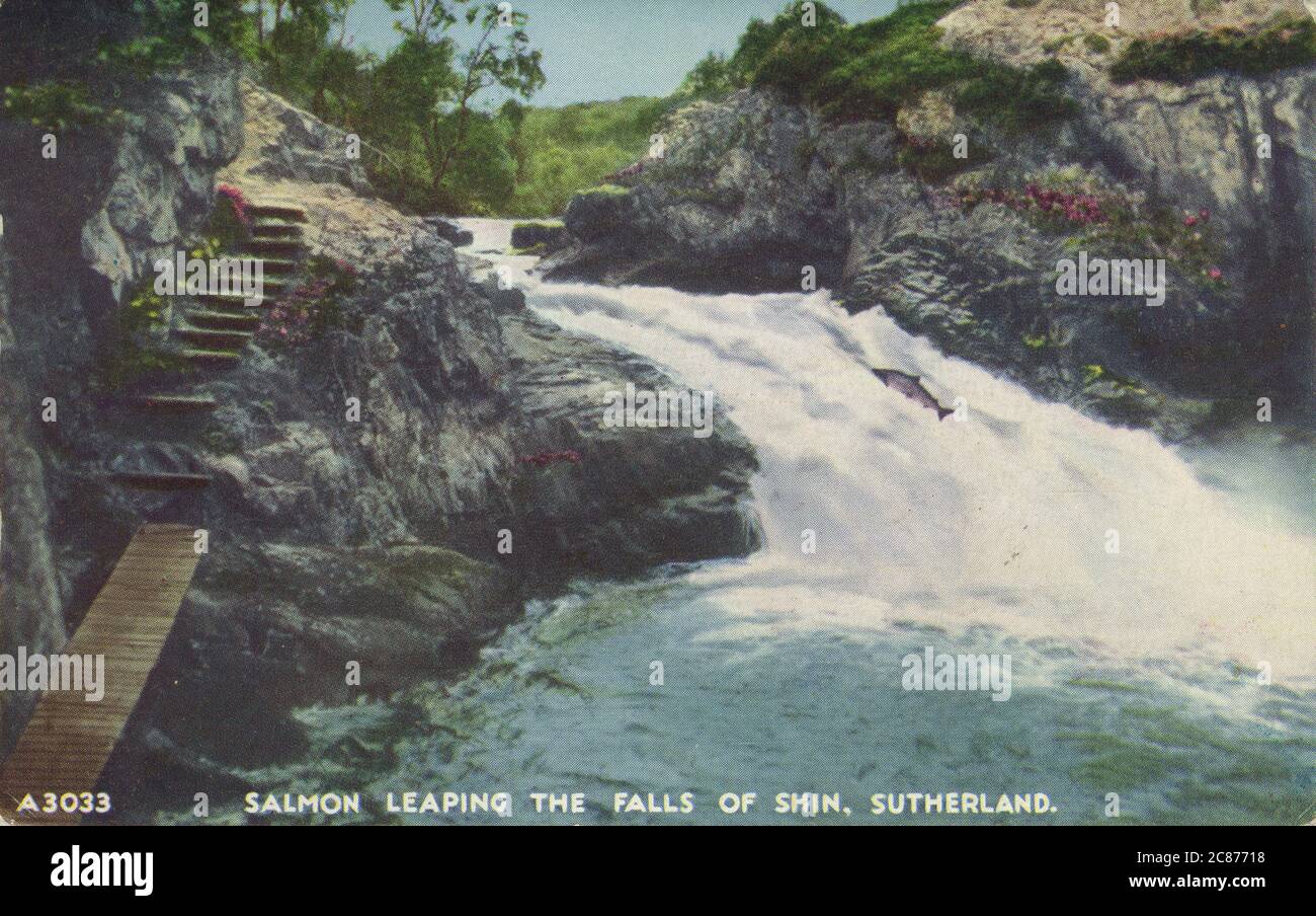 Salmon Leap, Falls of Shin, Lairg, Achany Glen, Sutherland, Scotland ...