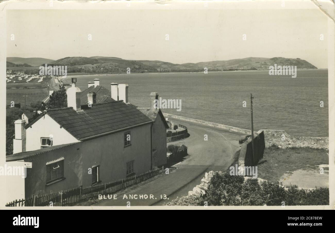 Are Dogs Allowed In The Blue Anchor Aberthaw