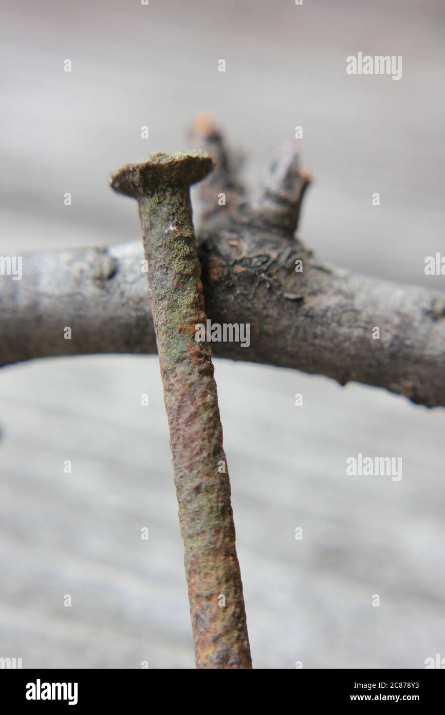 Oxidized Nail High Resolution Stock Photography and Images - Alamy