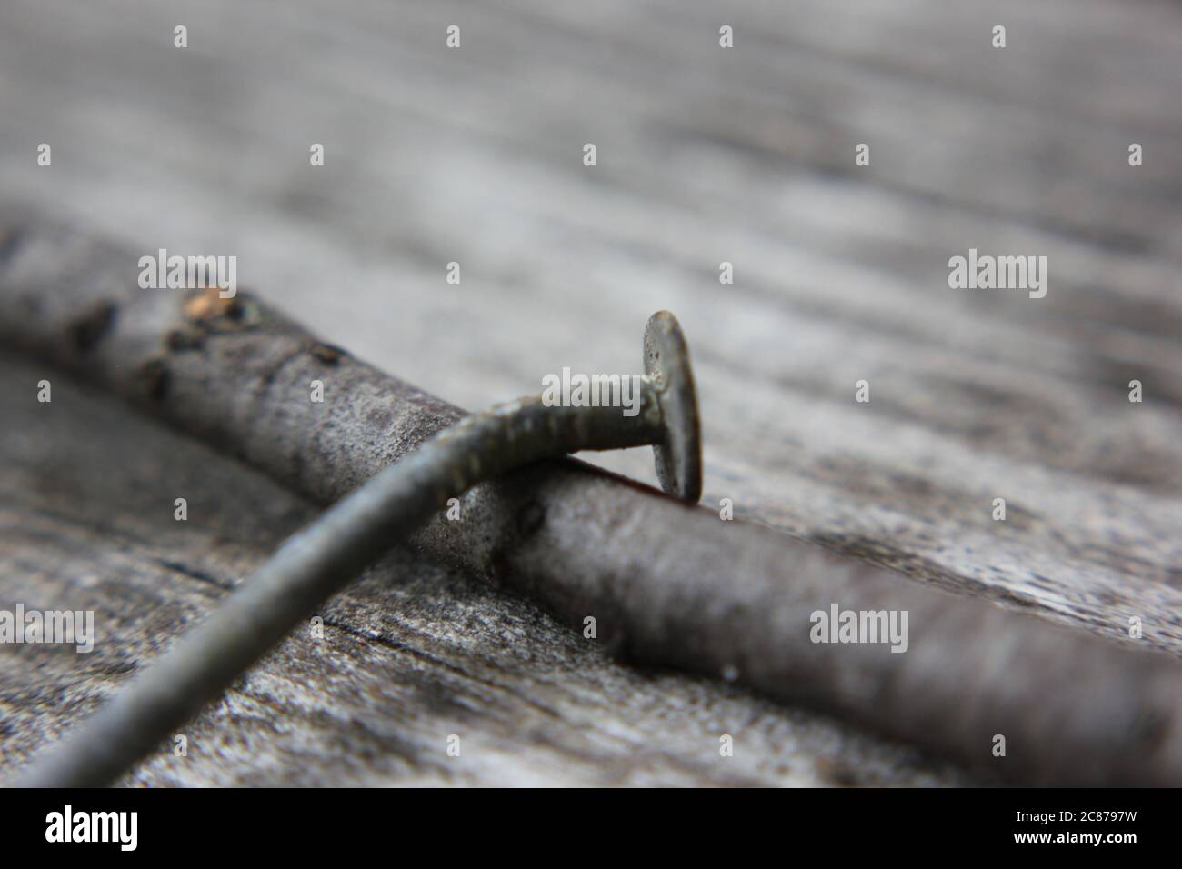 One single severely weathered rusted iron construction nail Stock Photo ...