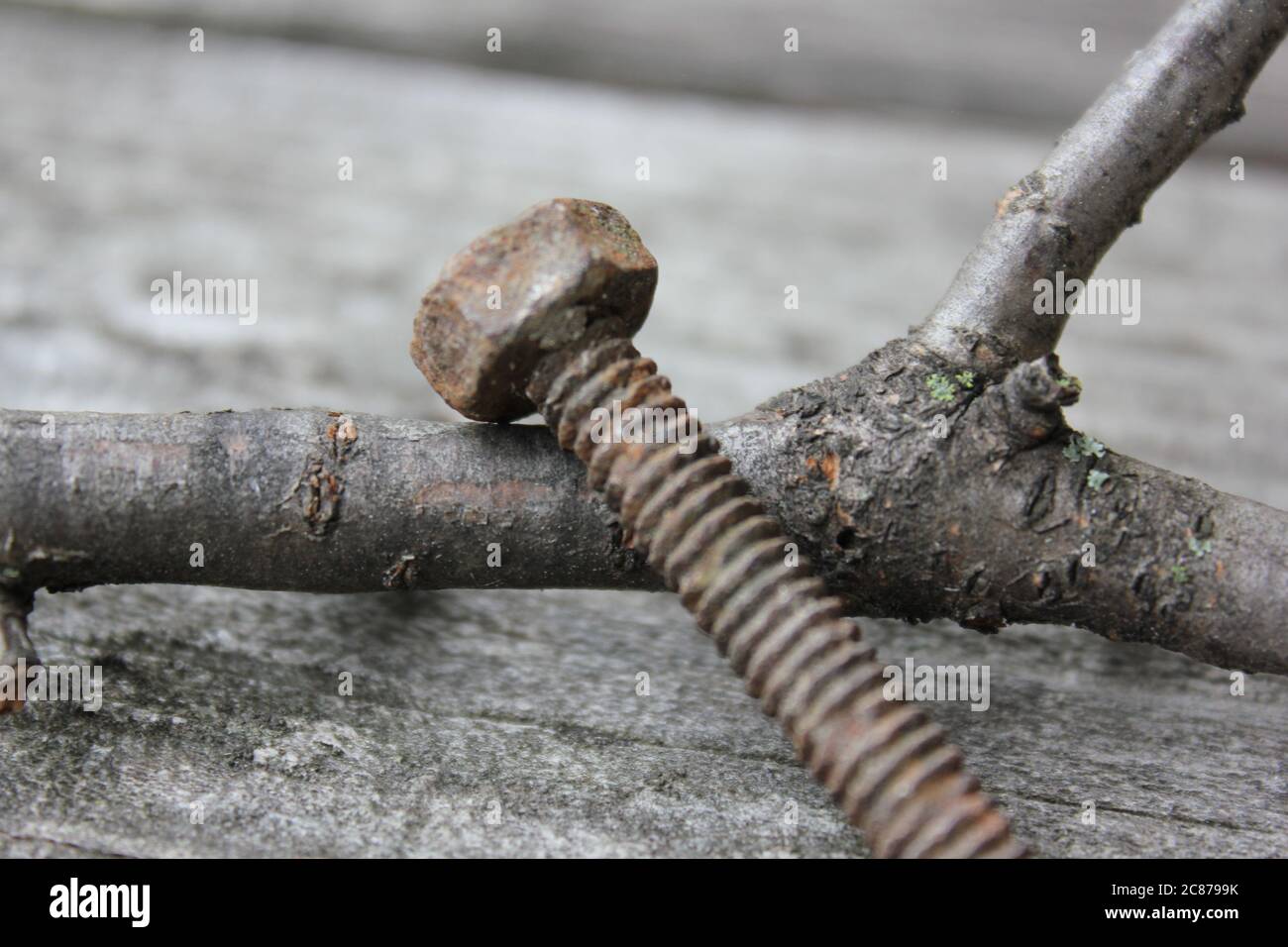 A very rusty and well worn construction screw Stock Photo - Alamy