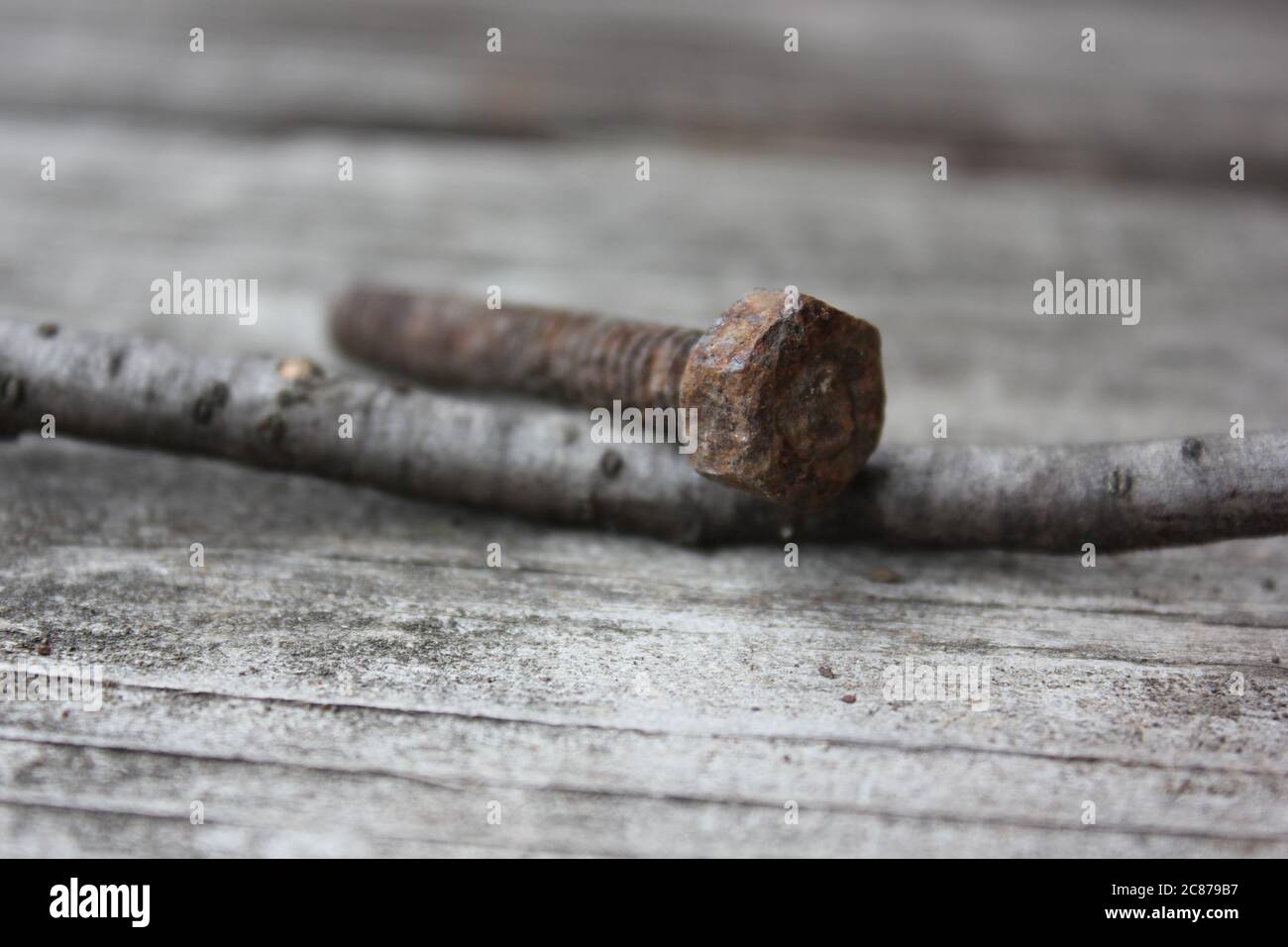 A very rusty and well worn construction screw Stock Photo - Alamy