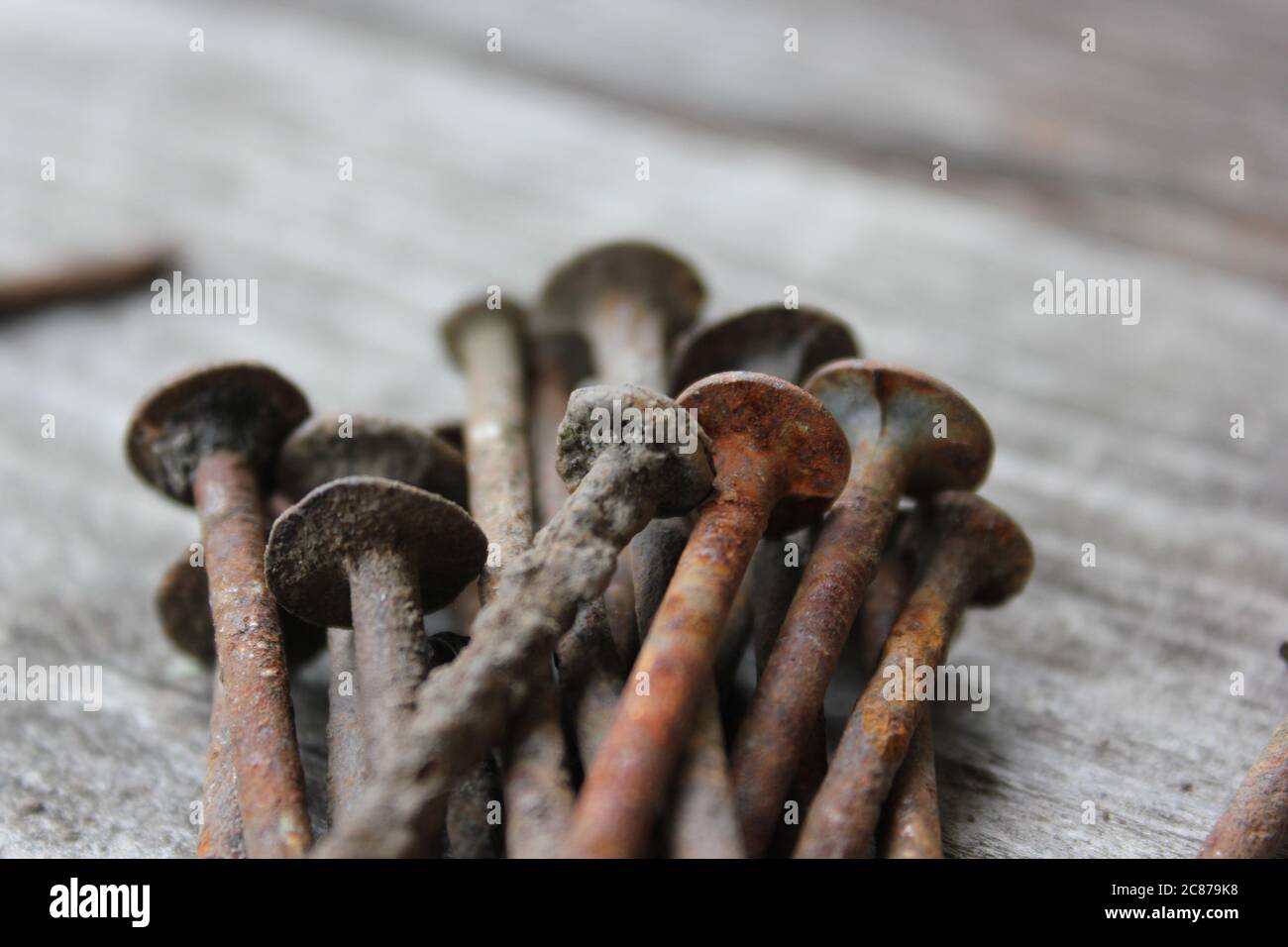 A pile of worn, rusted and out of date iron construction nails Stock ...
